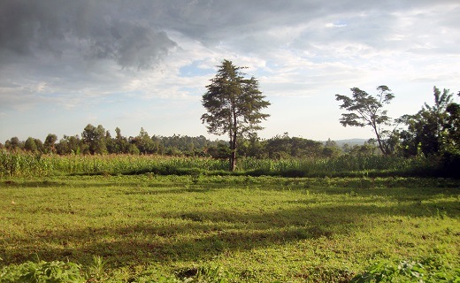 Food insecurity and flooding in Kenya